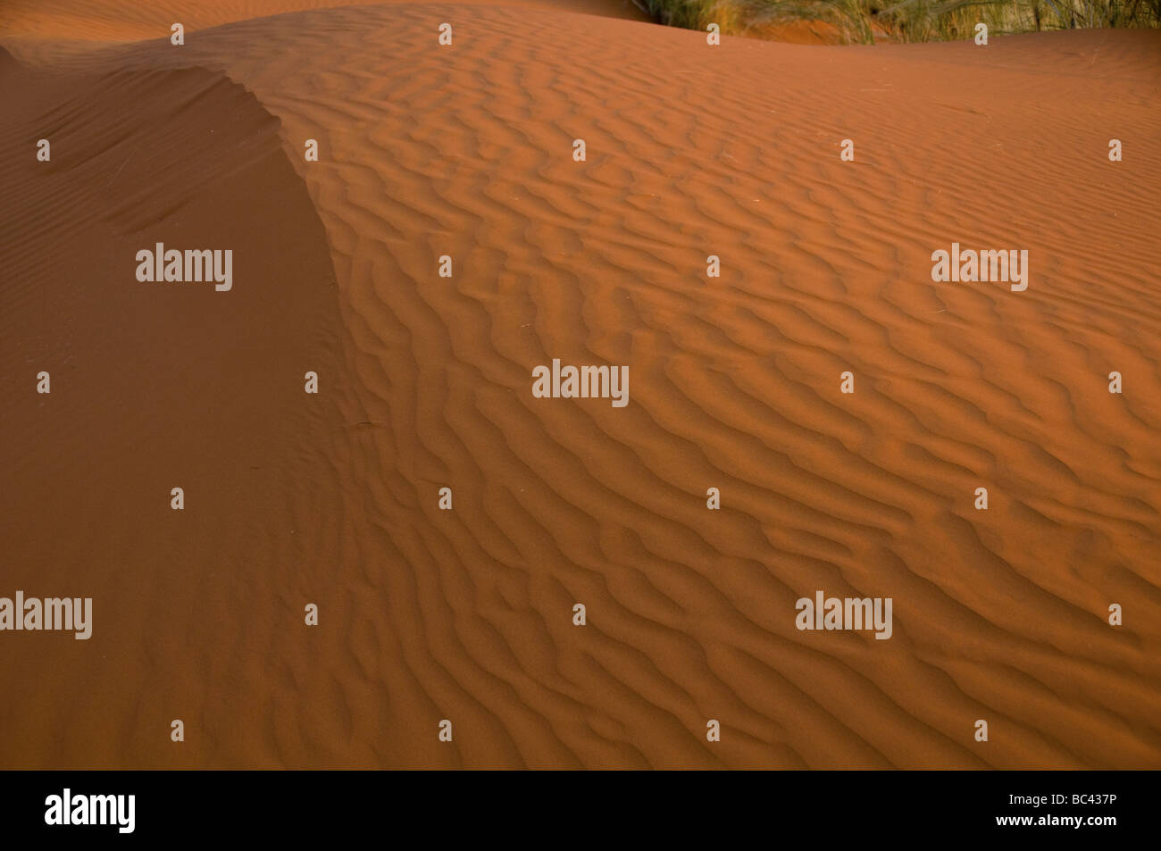 the beautiful sand dune landscape of Sossusvlei National Park in Nambia ...
