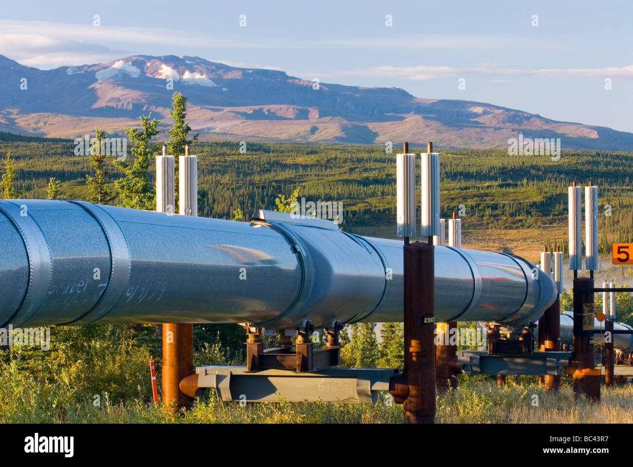Alaska oil pipeline running through the central Alaska Range Stock ...