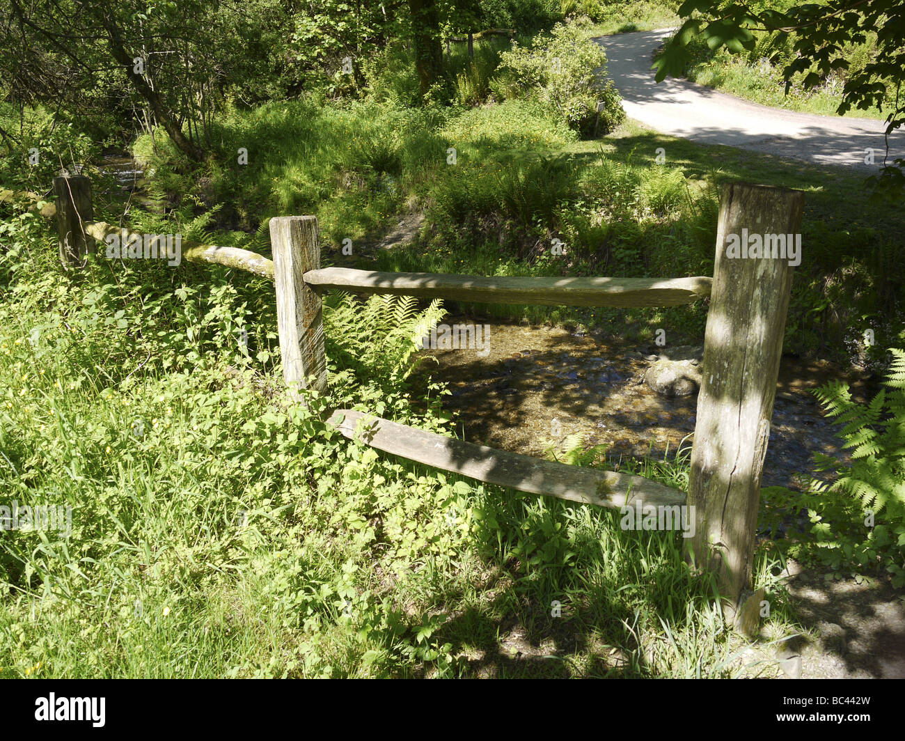 Simonsbath hi-res stock photography and images - Alamy