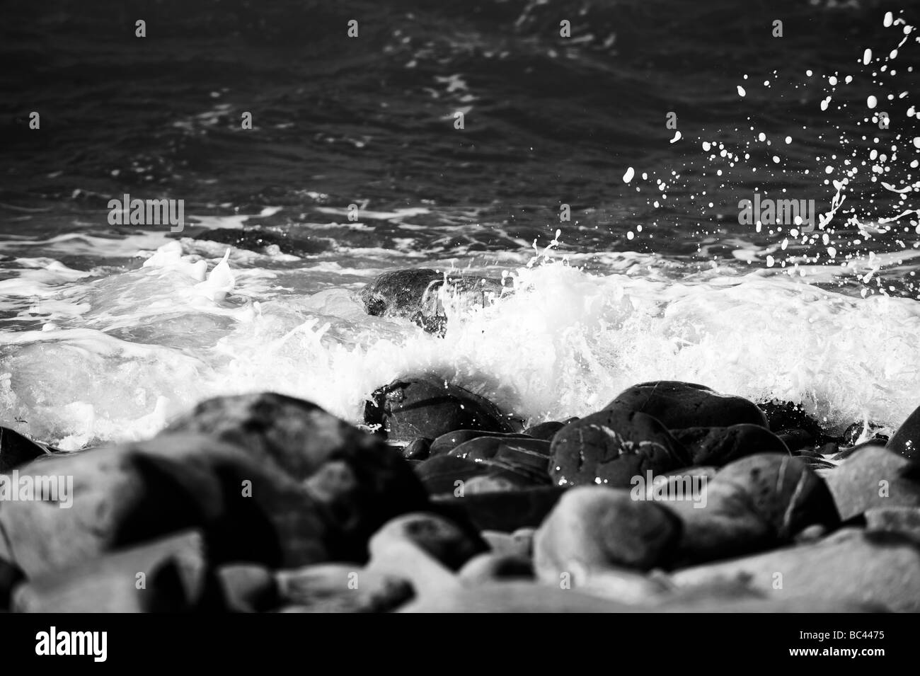 The tide coming in against rocks Stock Photo - Alamy
