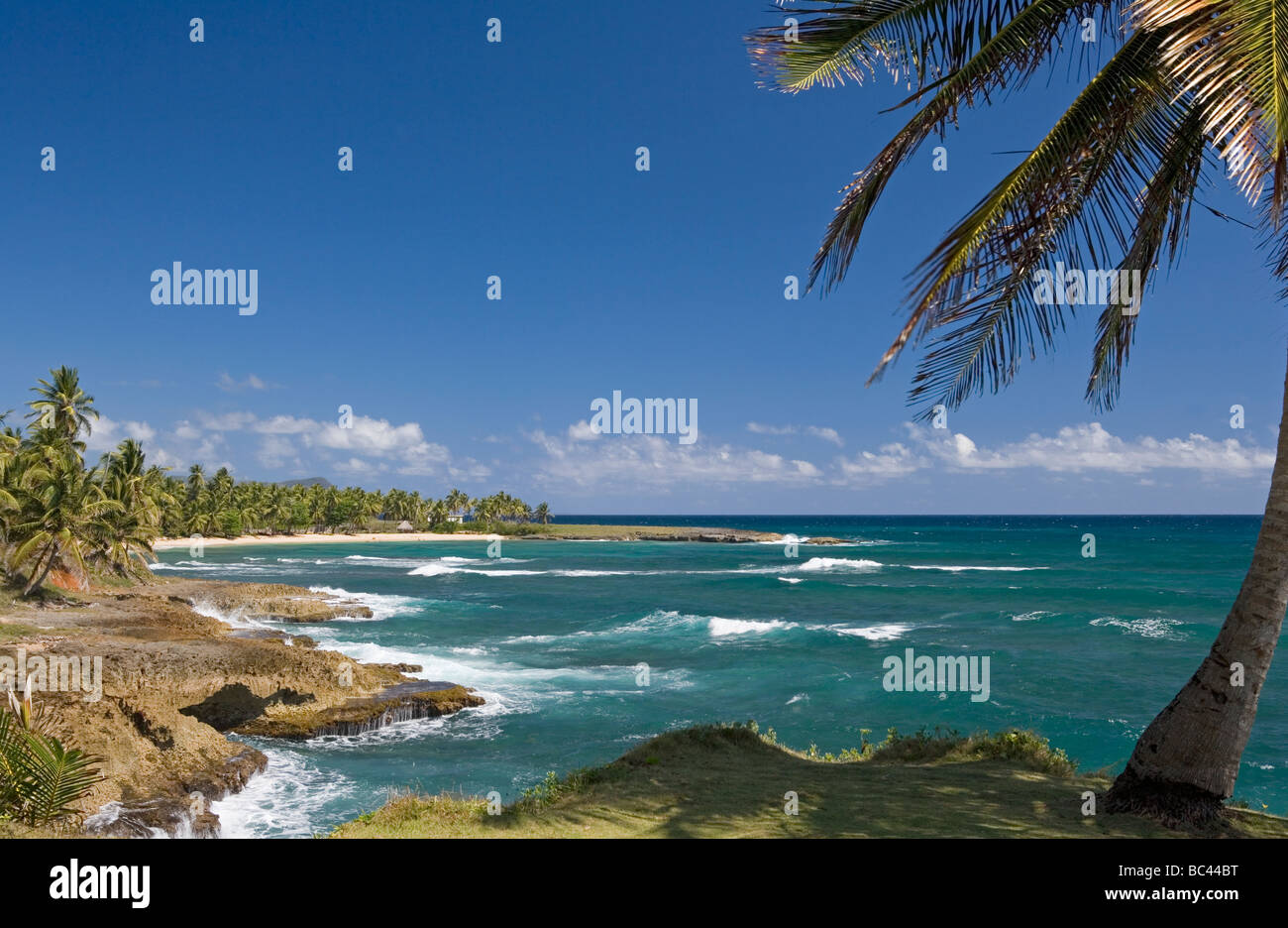 Dominican Republic - North Coast - Samana Peninsula - Between Samana ...