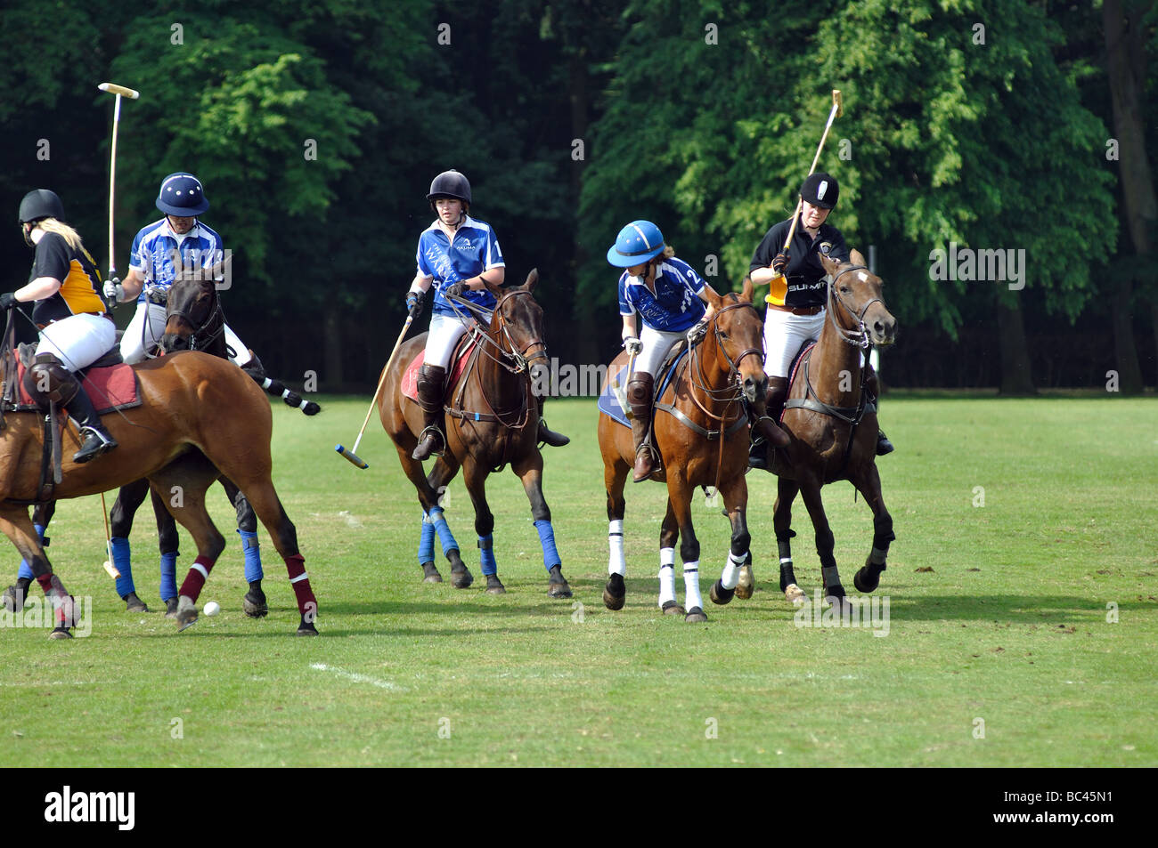 University students polo match, UK Stock Photo - Alamy