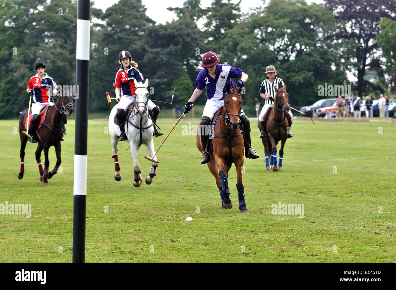 University students polo match, UK Stock Photo - Alamy