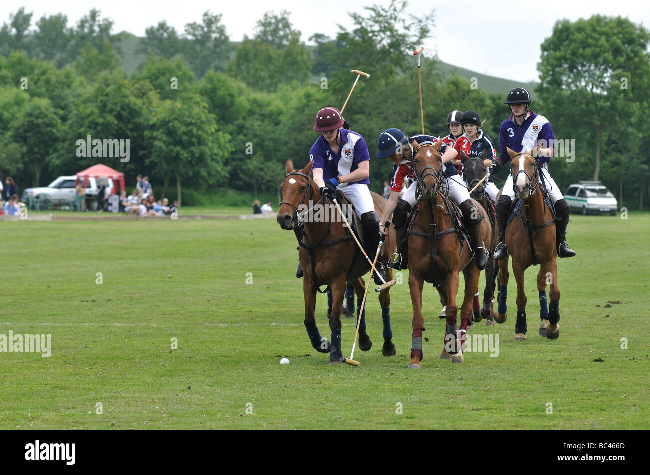 University students polo match, UK Stock Photo - Alamy