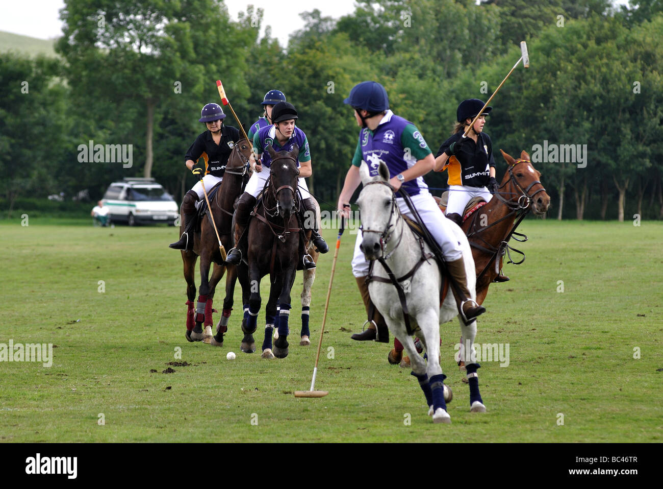 University students polo match, UK Stock Photo - Alamy