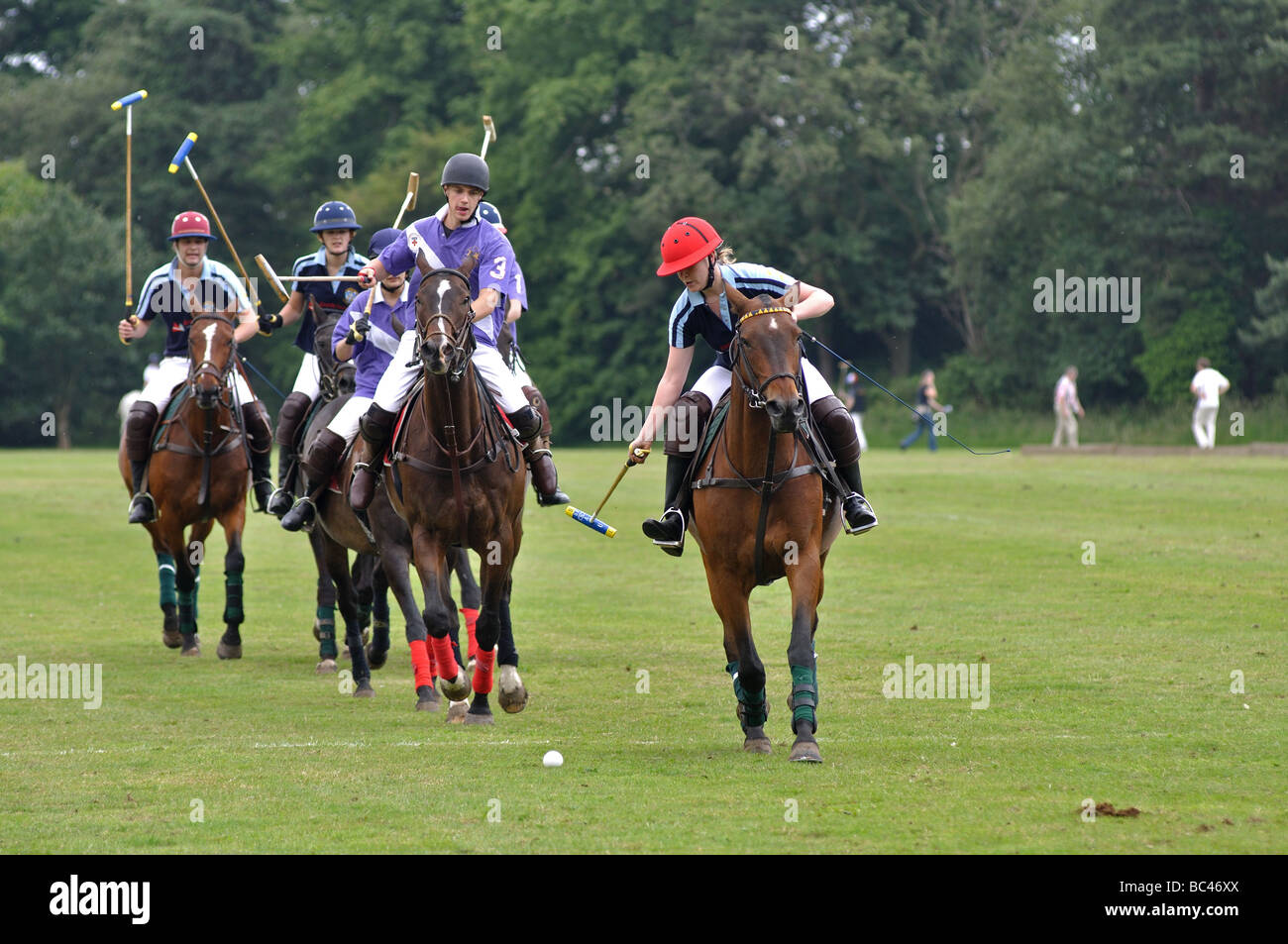University students polo match, UK Stock Photo - Alamy