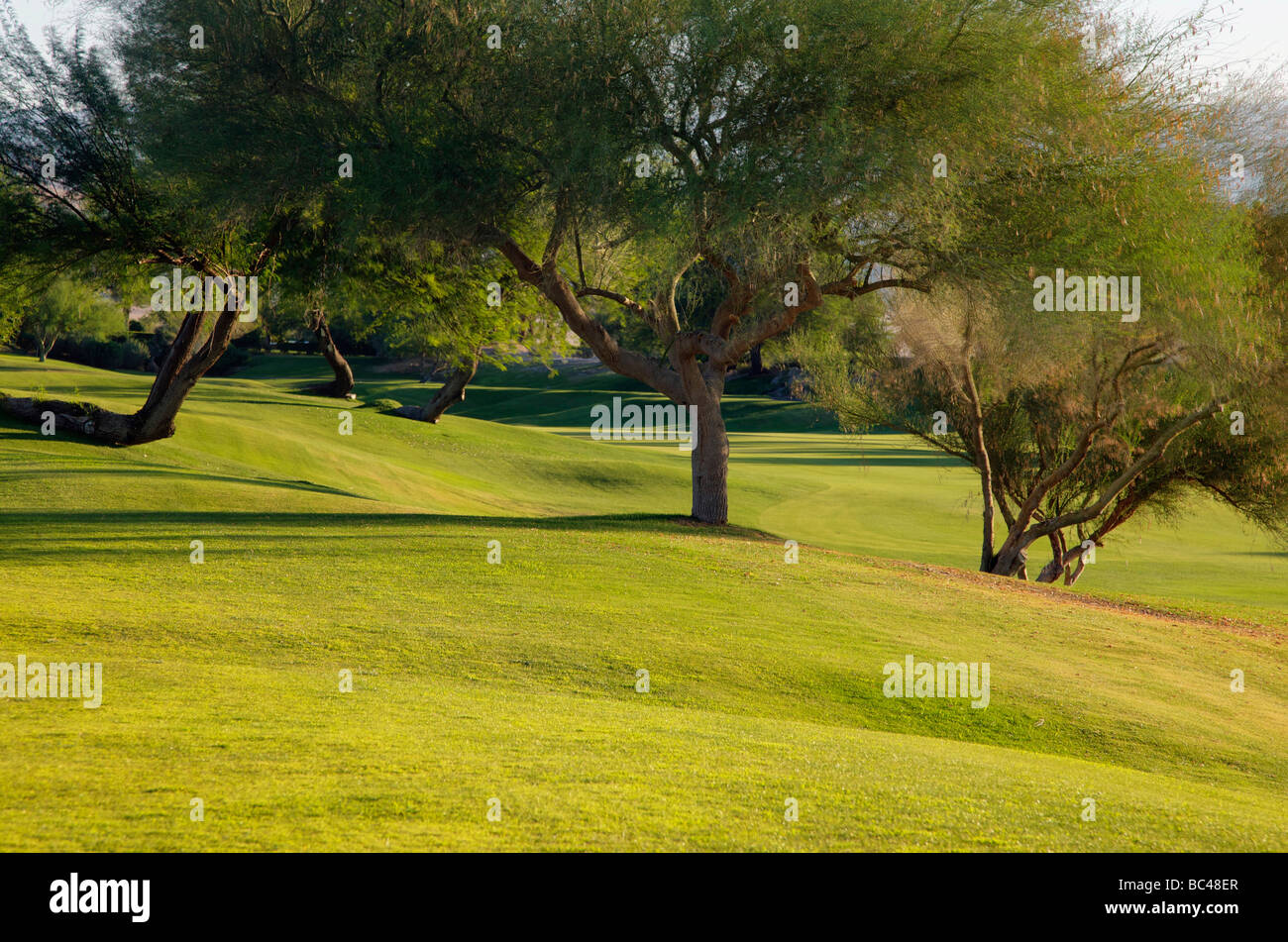 Gary player country club golf hi-res stock photography and images - Alamy