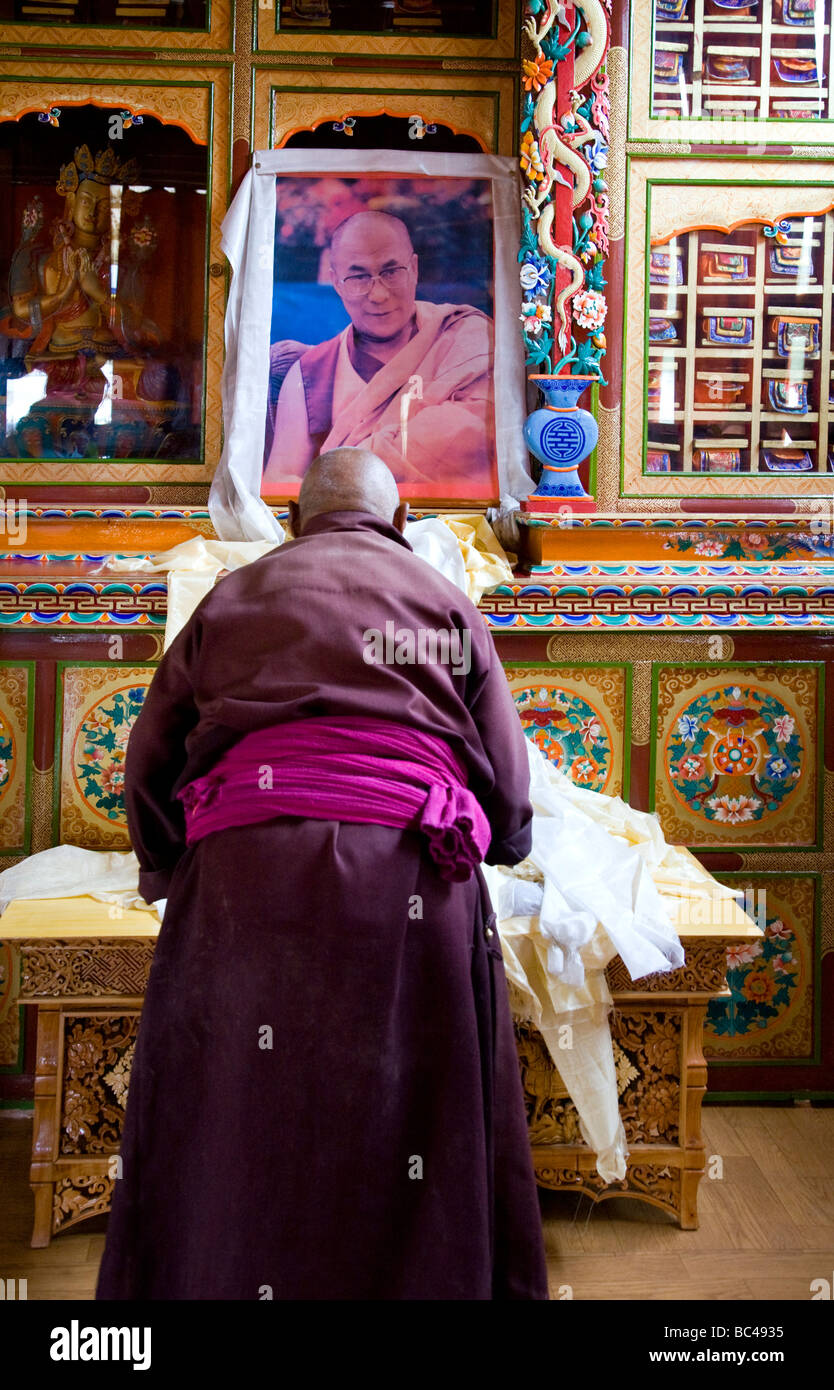 Old tibetan monk prostrating in front of Dalai Lama`s portrait ...