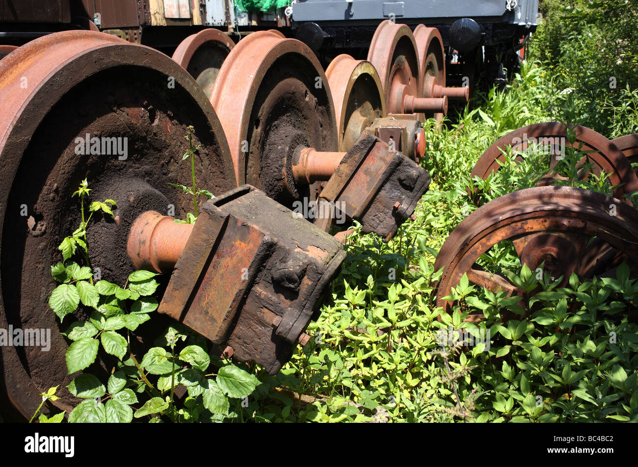 Image taken on the Buckfastleigh - Totnes steam railway, South Devon ... Image taken on the Buckfastleigh - Totnes steam railway, South Devon ...