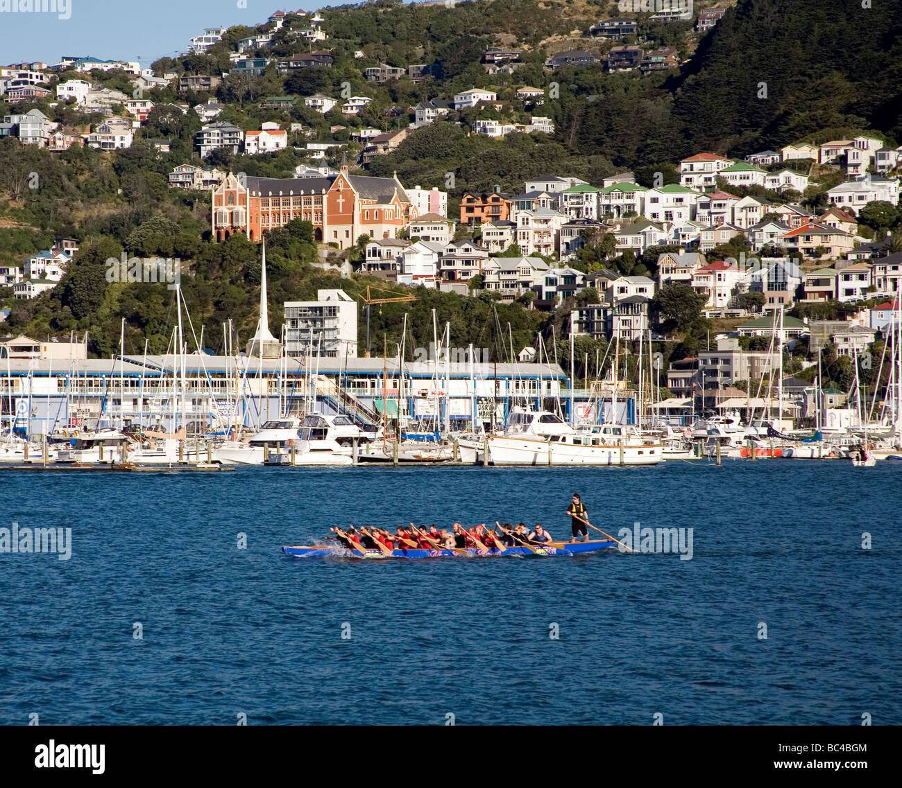 Wellington, North Island, New Zealand: Rowing club practicing in their ...