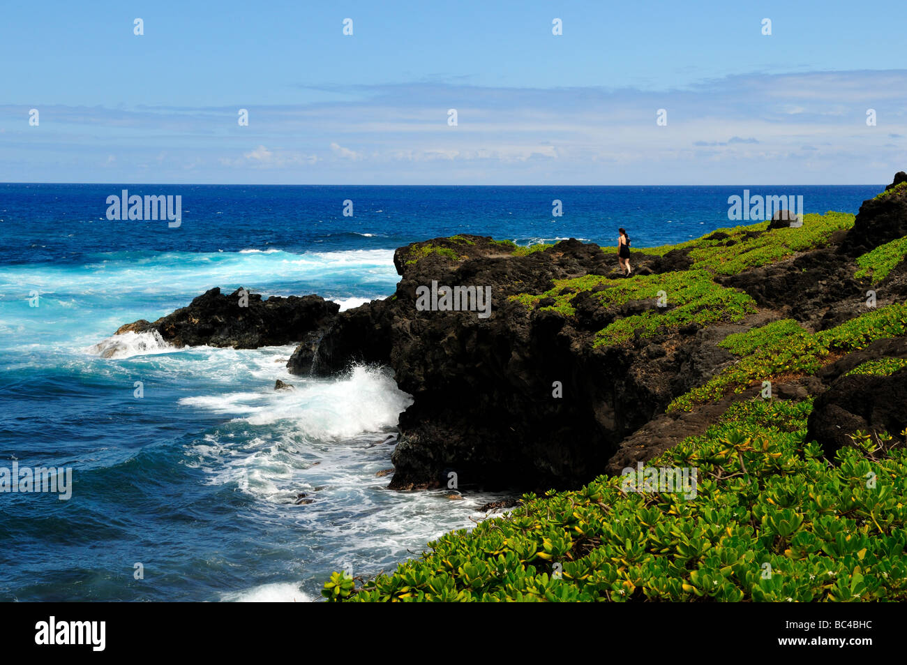 Coastal area of the Haleakala National Park, Maui, Hawaii, USA Stock ...
