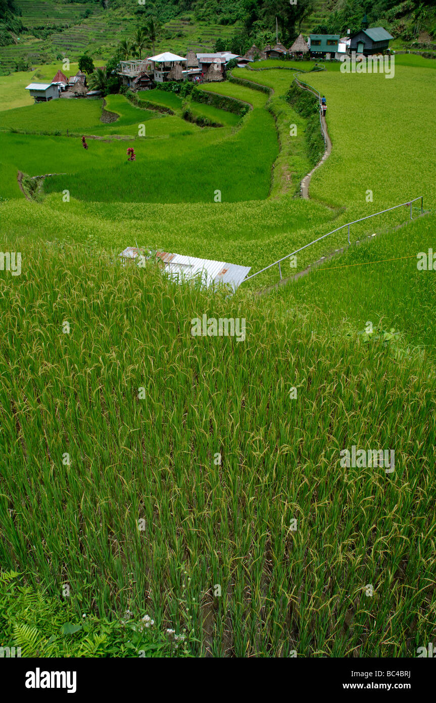 Batad village and rice terraces, near Banaue, Ifugao, North Luzon ...