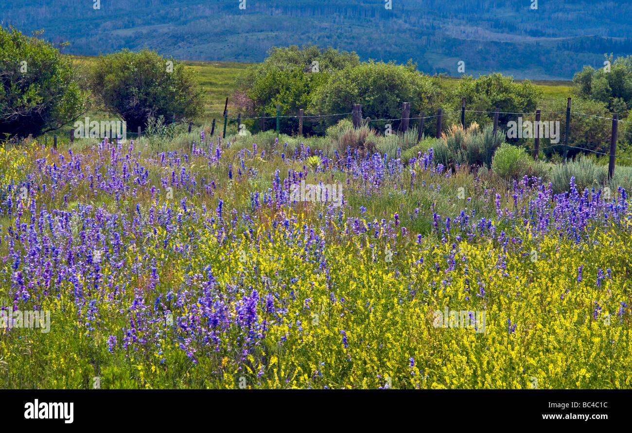 Land fill south america hi-res stock photography and images - Alamy