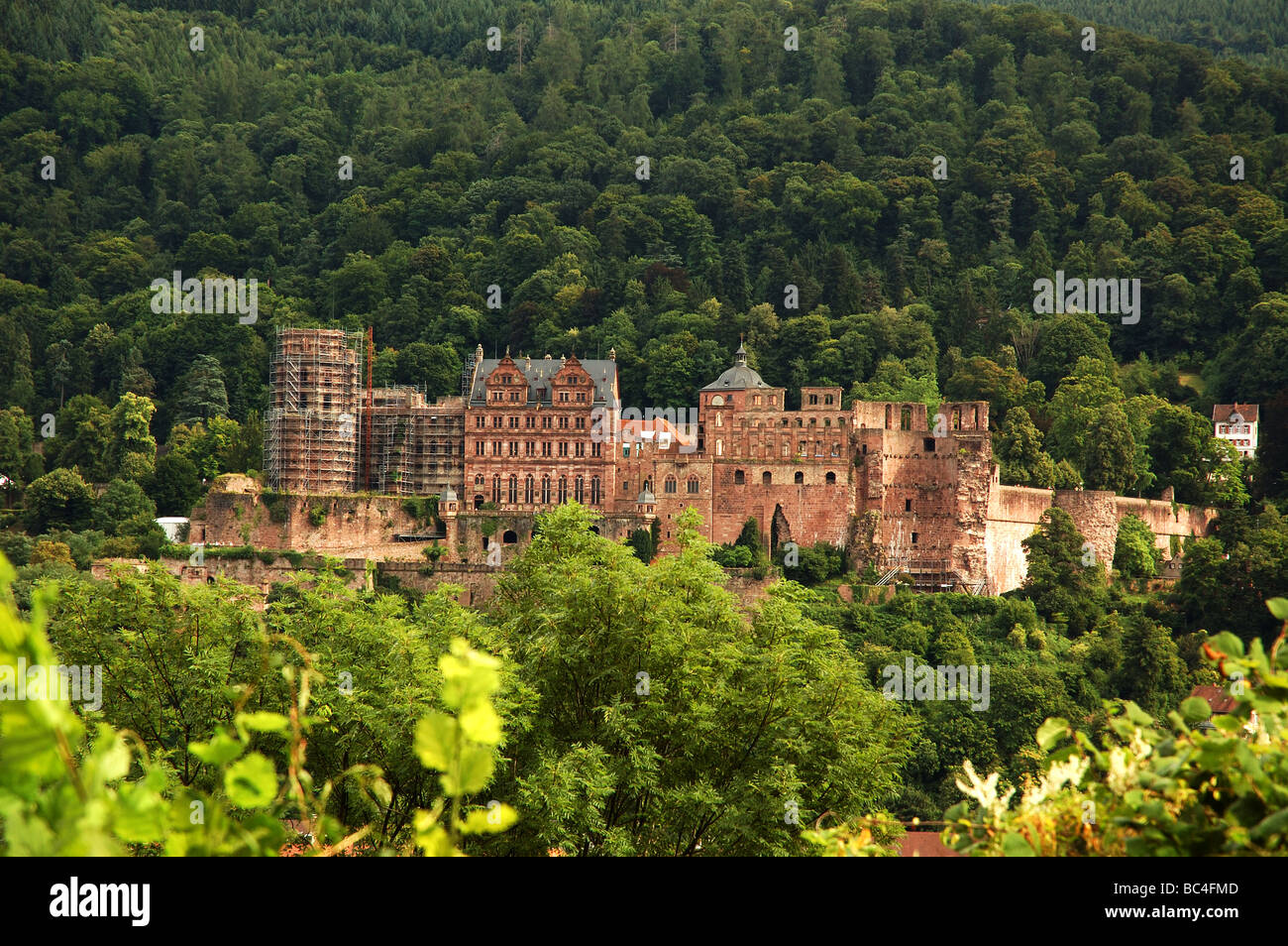 Heidelberg castle, Germany Stock Photo - Alamy