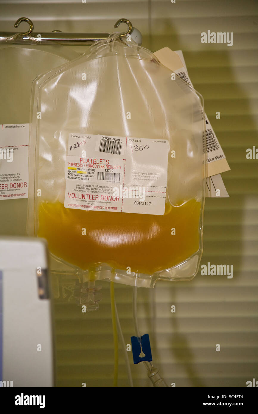 Blood cells and platelets hi-res stock photography and images - Alamy