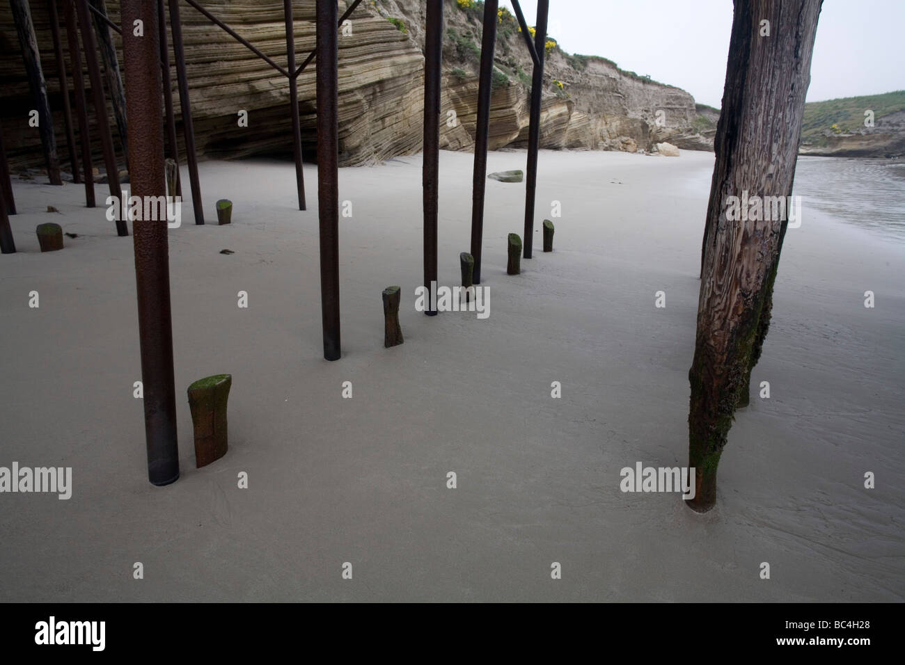 Channel Islands National Park Santa Rosa Island Stock Photo - Alamy