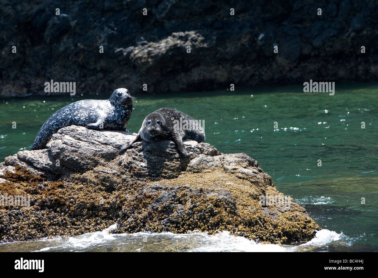 Channel Islands National Park Santa Rosa Island Stock Photo - Alamy