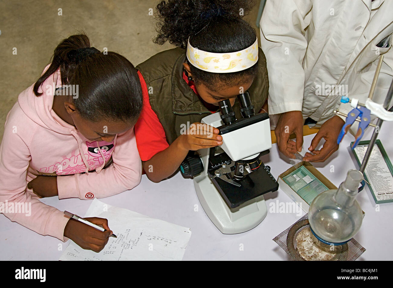 Students studying science in Addis Ababa in Ethiopia on the horn of ...