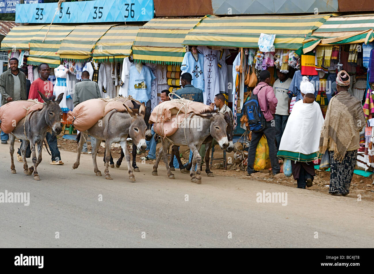 Ethiopia woman donkey hi-res stock photography and images - Alamy