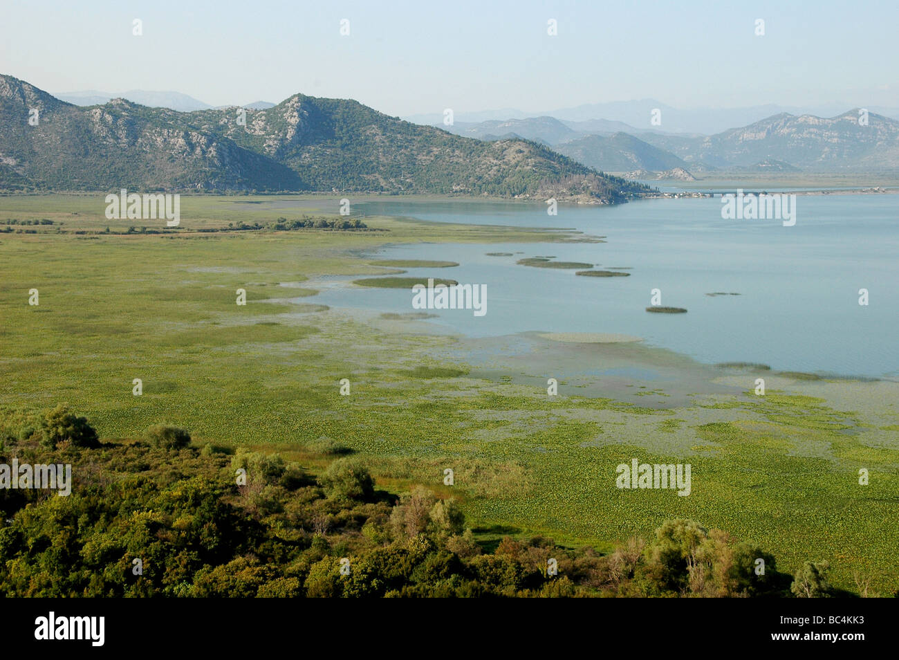 Skadar ecosystem hi-res stock photography and images - Alamy