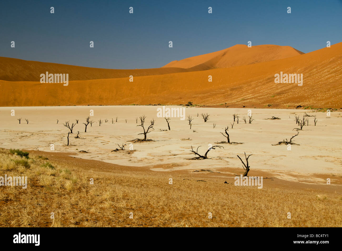 the stark dead tree and sand dune landscape of Dead Vlei in Sossusvlei ...