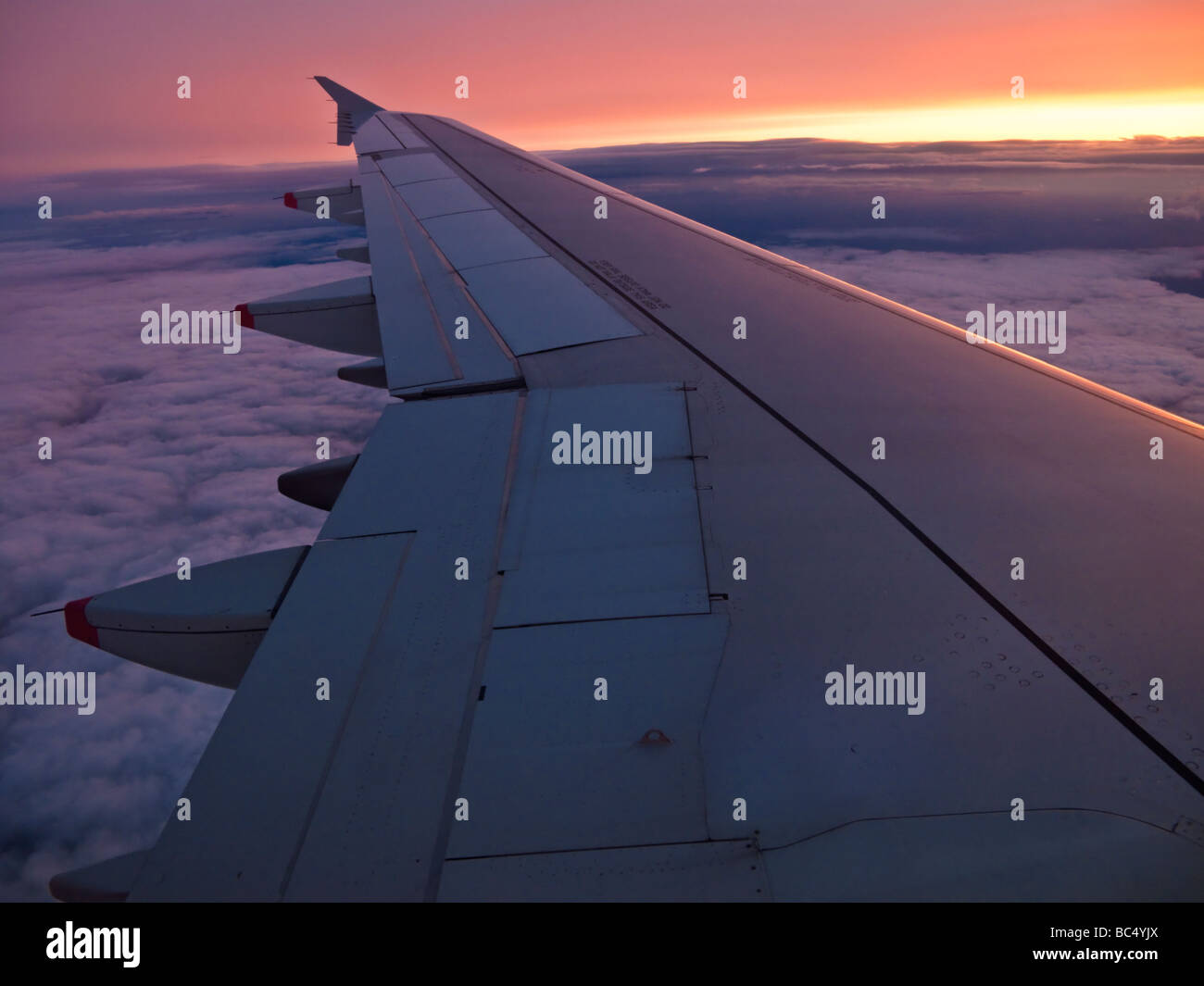 Wing of an Airbus A310 in flight lit by the light of sunset Stock Photo ...