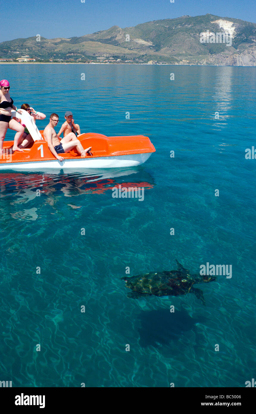 Endangered Loggerhead Sea Turtle Caretta High Resolution Stock ...