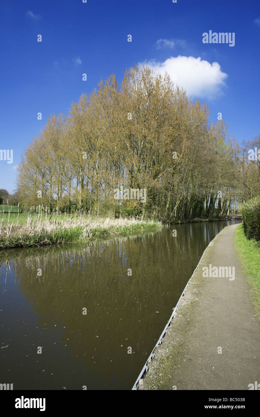 river bank with plants and vegetation Stock Photo - Alamy