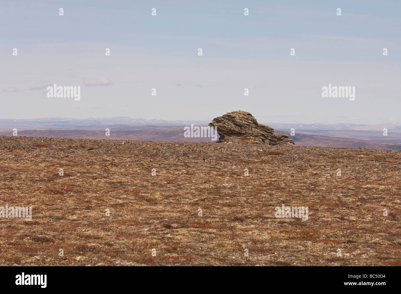Tundra rock hi-res stock photography and images - Alamy