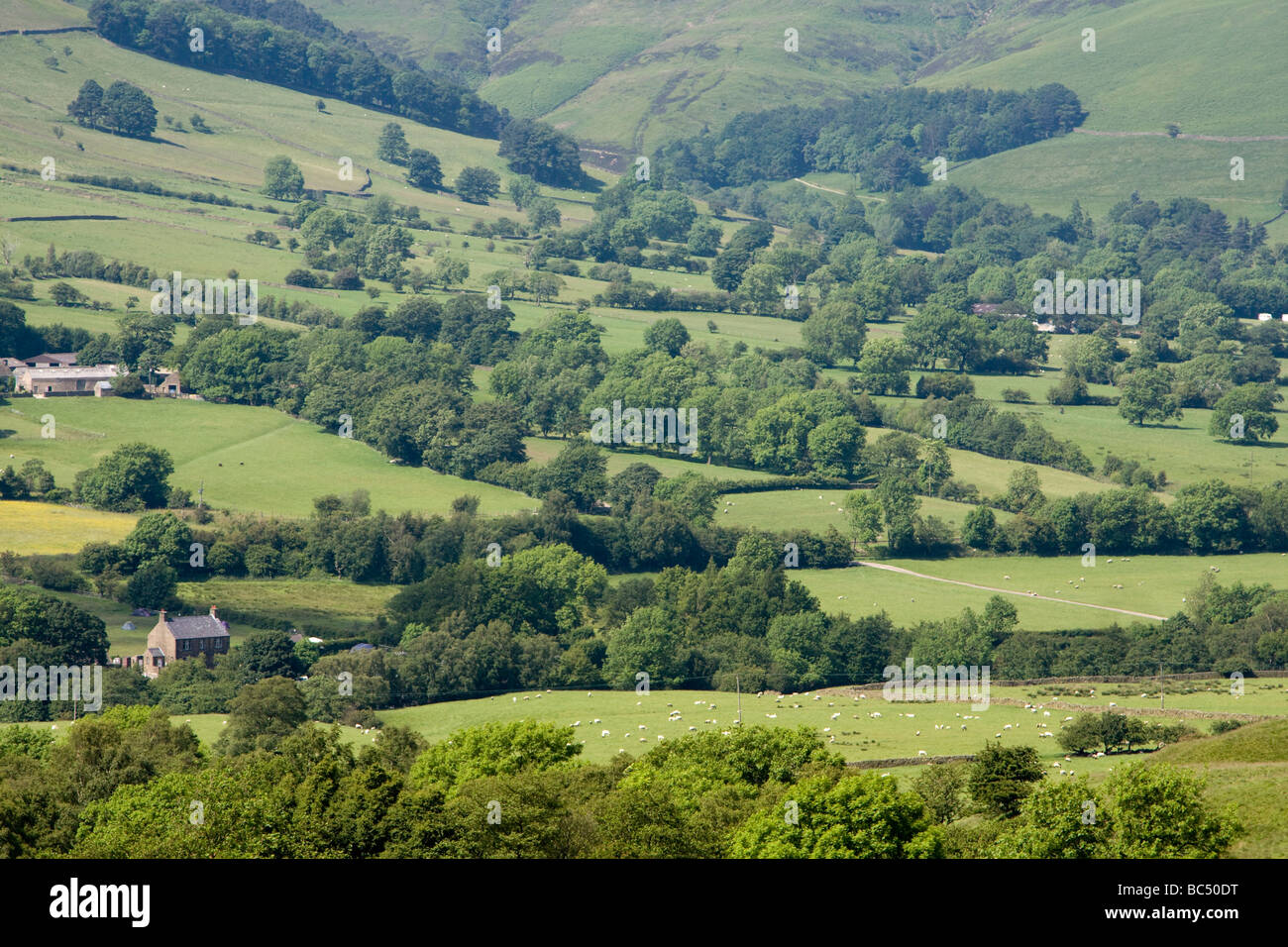 vale of edale high summer derbyshire peak district high peak national ...