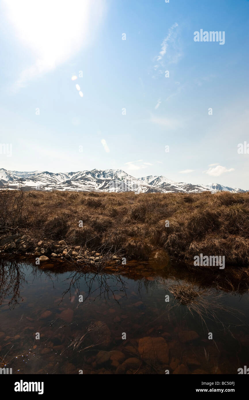 A POOL OF WATER AND MOUNTAINS ON THE ALASKAN TUNDRA Stock Photo - Alamy