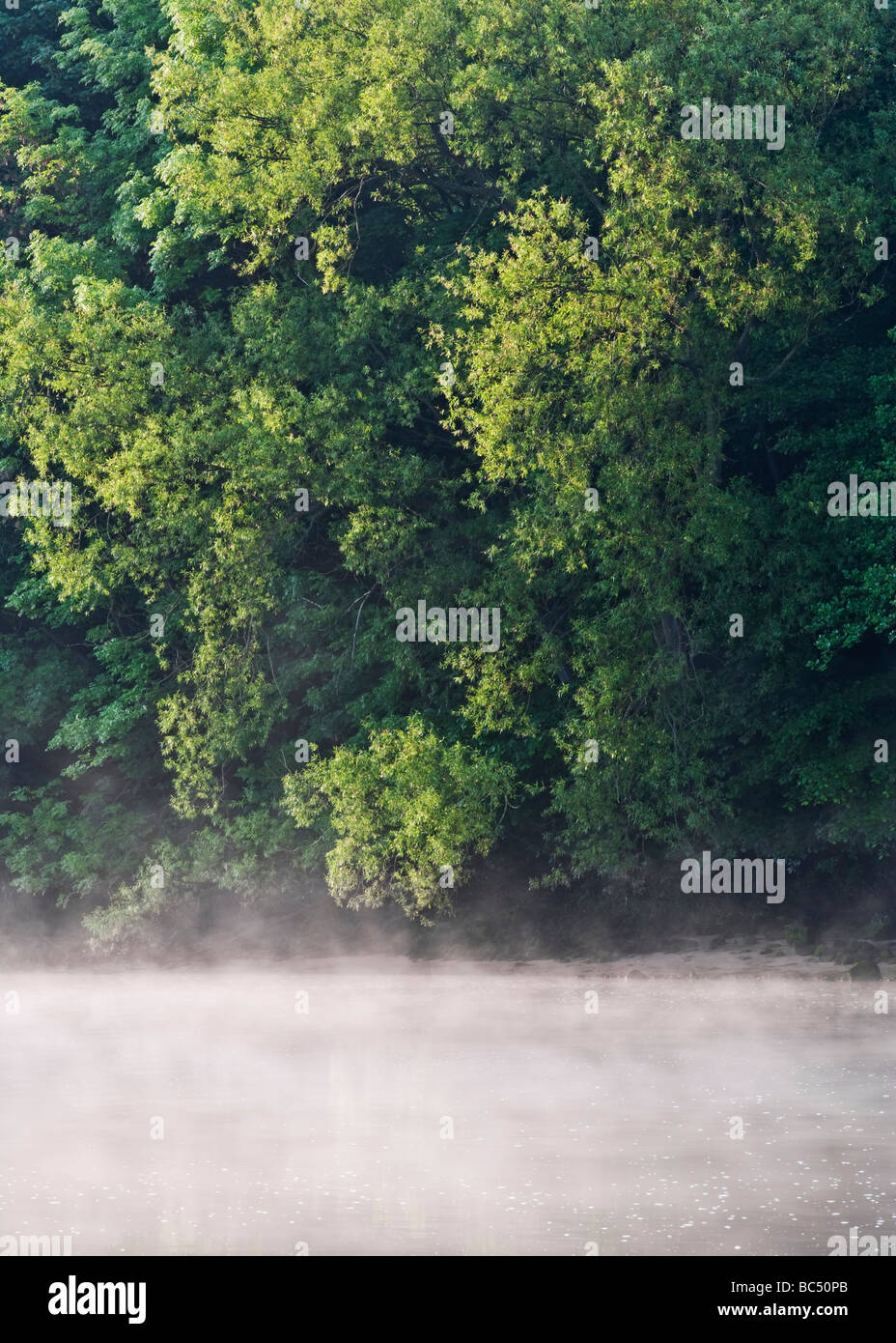 Mist rising over the fast flowing waters of the River Tyne on a summer ...