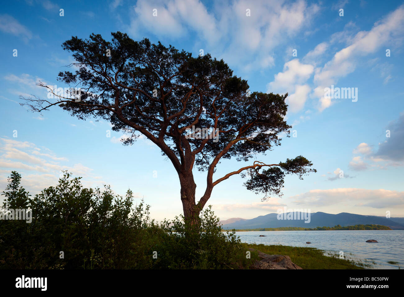 Killarney co kerry hi-res stock photography and images - Alamy