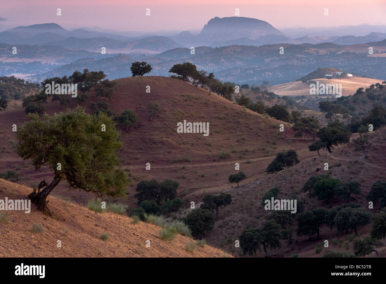 Dawn over the landscape at El Gastor looking west toward the Sierra ...