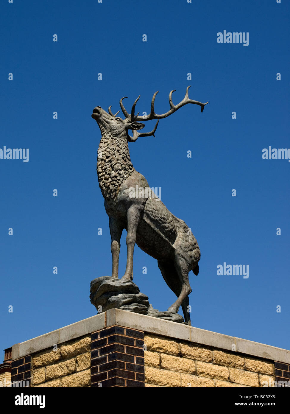 Statue of a Hart the animal shown on the heraldic crest of Hartlepool ...