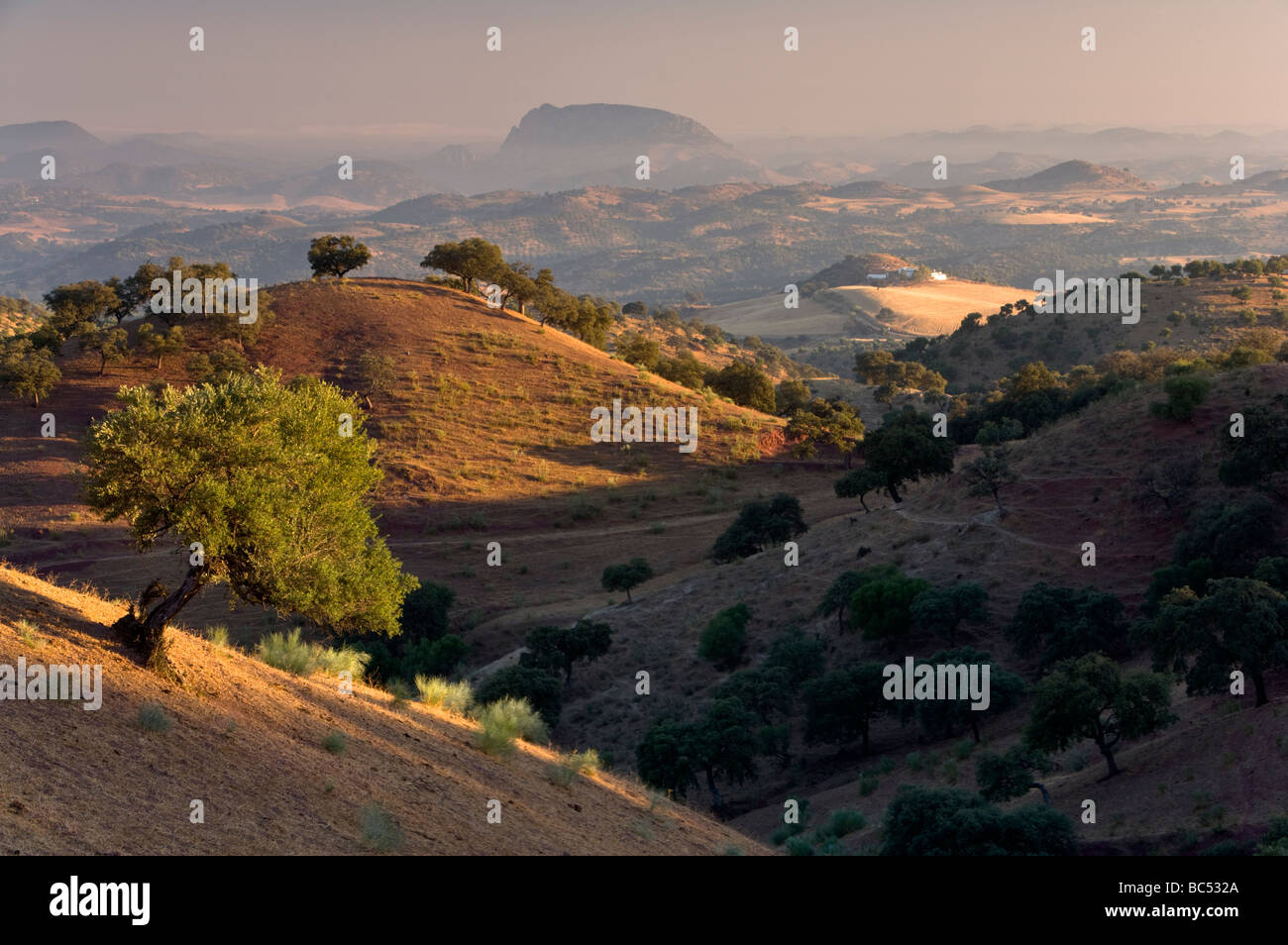 Dawn over the landscape at El Gastor looking west toward the Sierra ...
