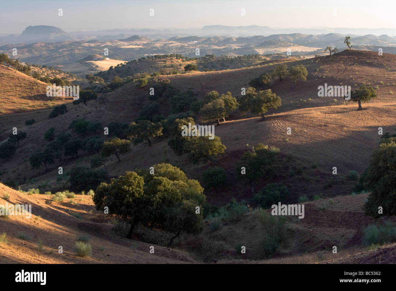 Dawn over the landscape at El Gastor looking west toward the Sierra ...