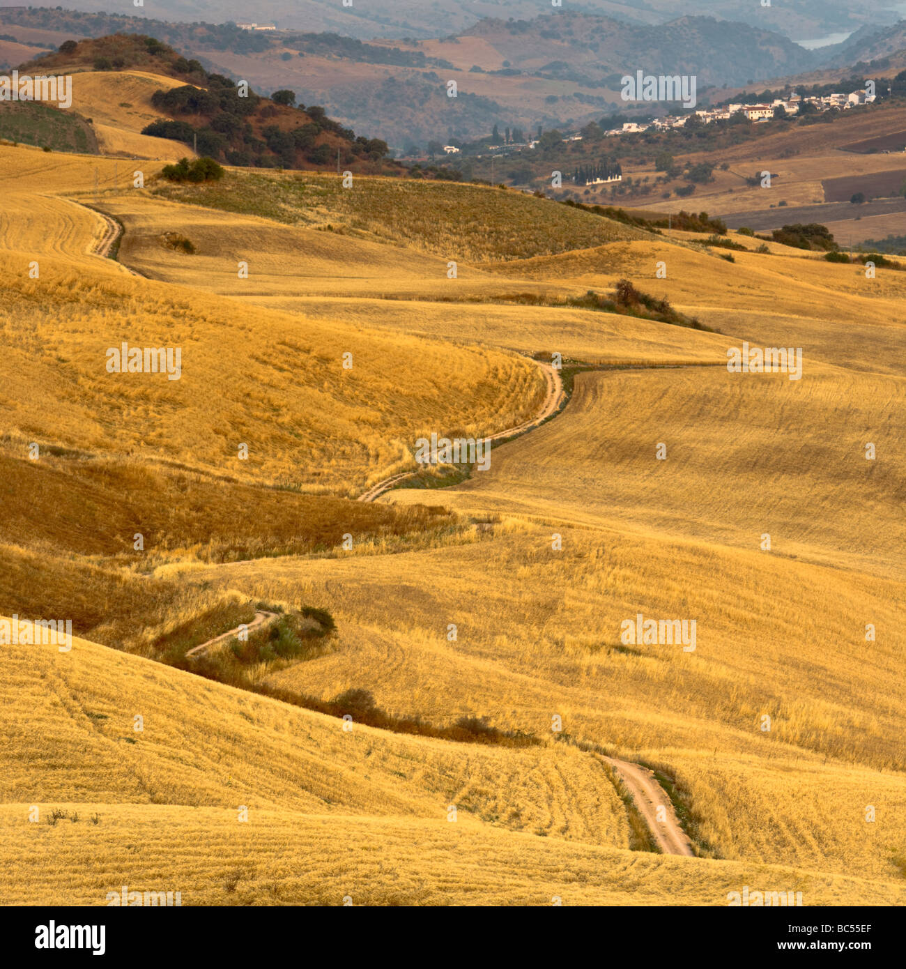Montecorto hi-res stock photography and images - Alamy
