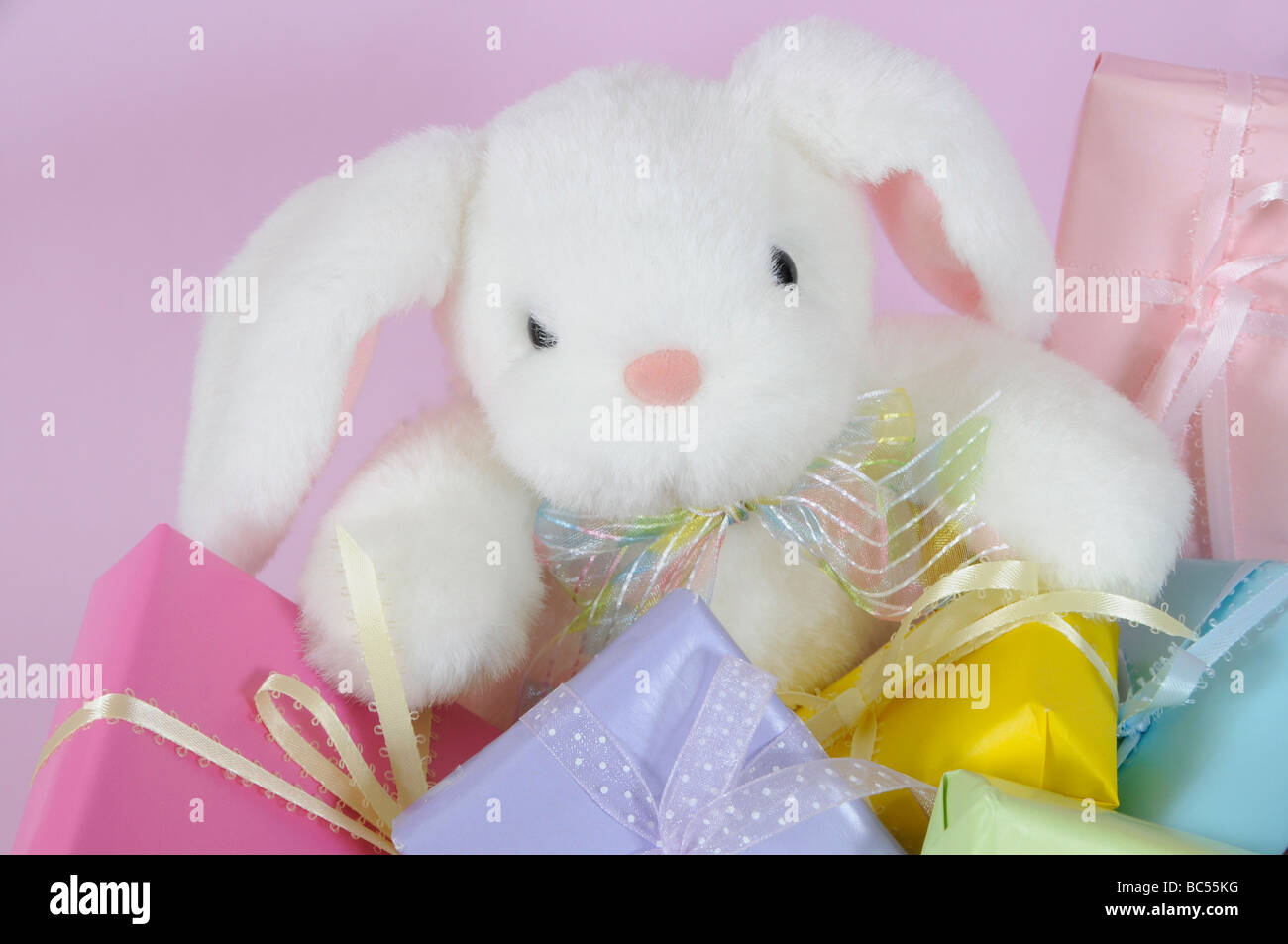Easter bunny gift boxes hi-res stock photography and images - Alamy