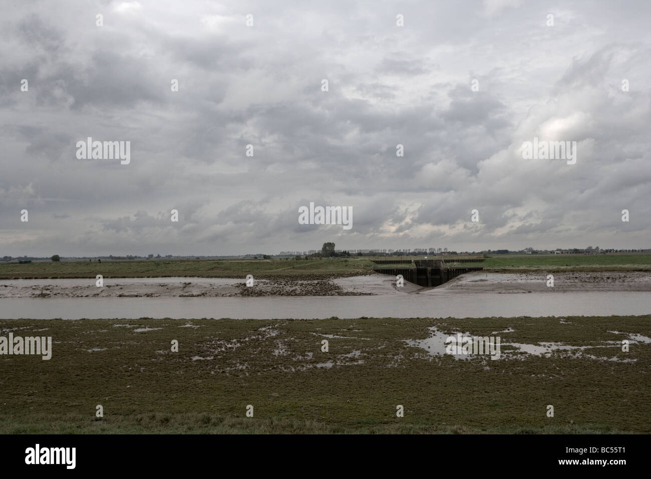 River Nene Guys Head Terrington Marsh Norfolk Stock Photo - Alamy