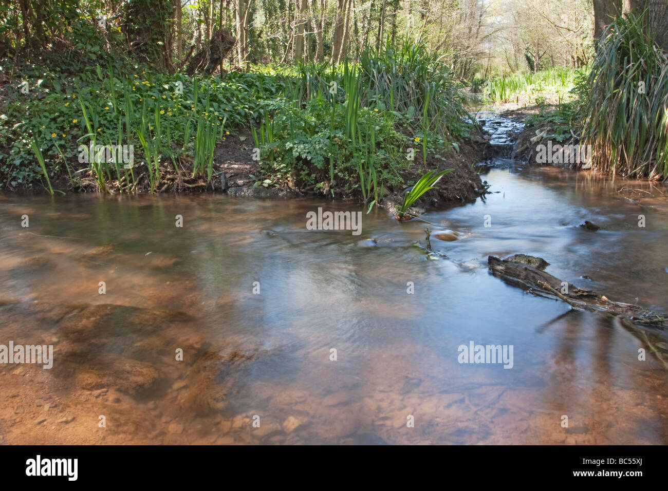 Alphin Brook on the outskirts of the village of Ide directly under the ...
