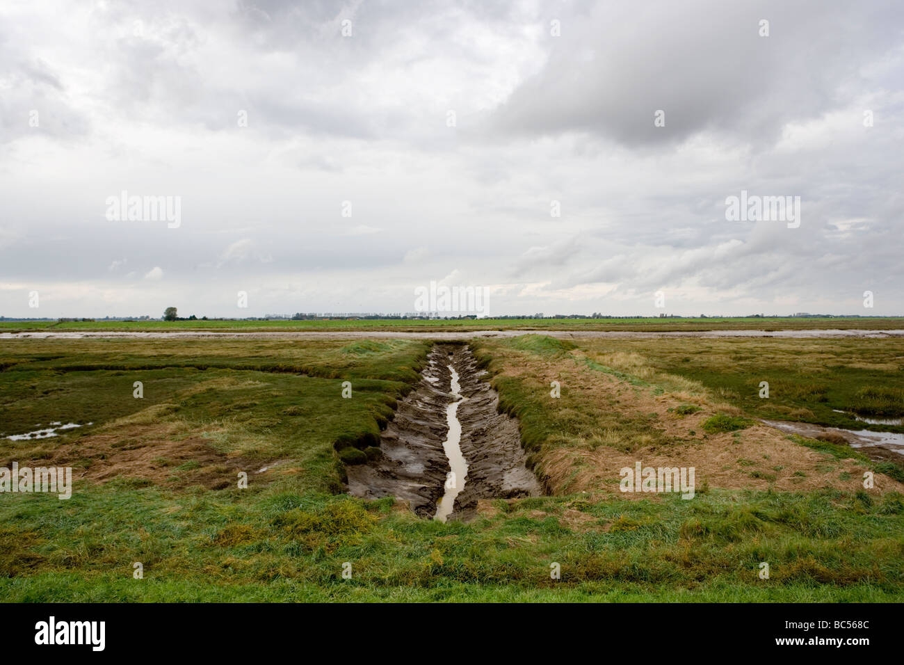 Guys Head Terrington Marsh The Wash Lincolnshire England Stock Photo ...