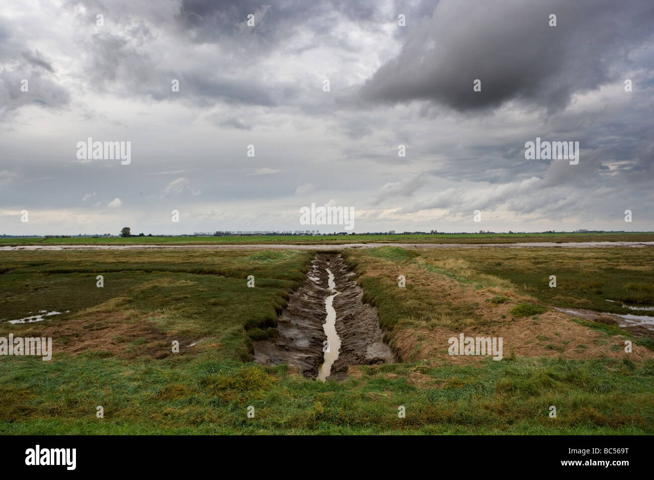 Terrington marsh hi-res stock photography and images - Alamy