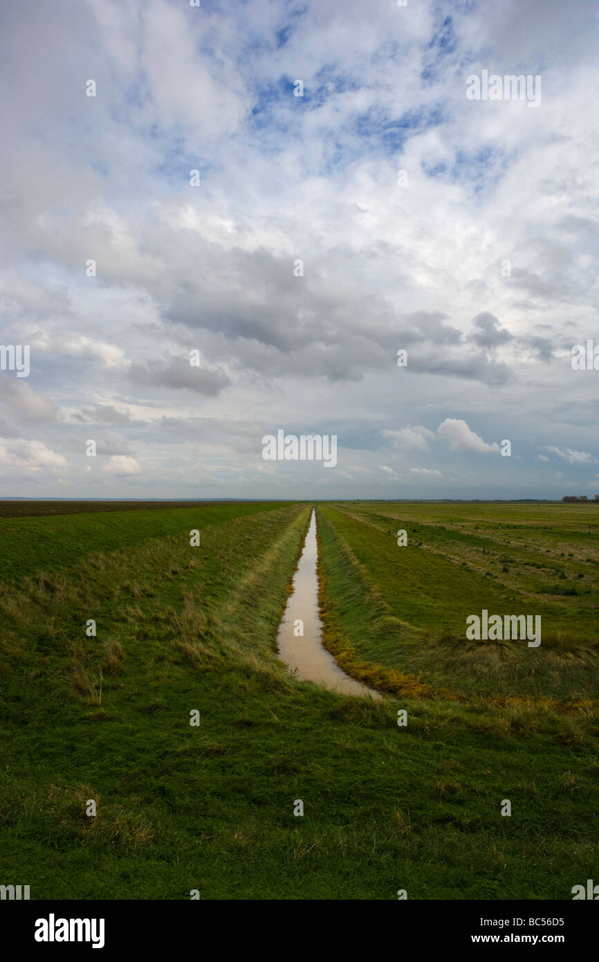 Terrington Marsh High Resolution Stock Photography and Images - Alamy