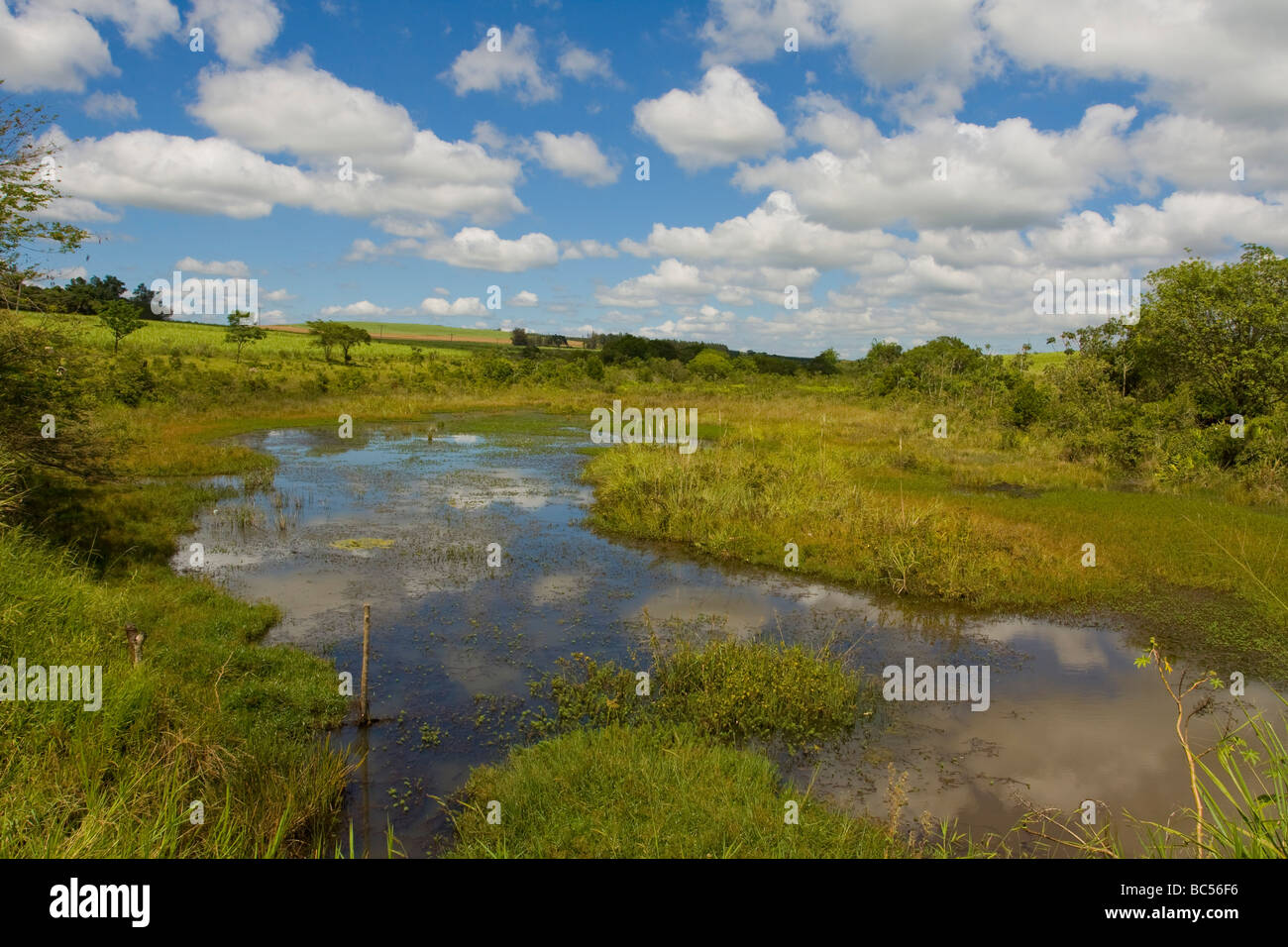 Water tank brazil hi-res stock photography and images - Alamy
