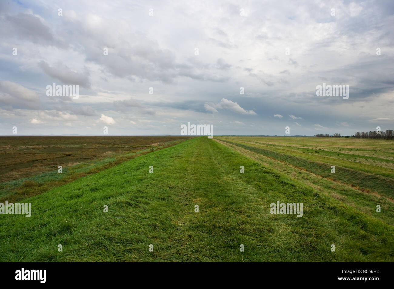 Guys Head Terrington Marsh The Wash Lincolnshire England Stock Photo ...