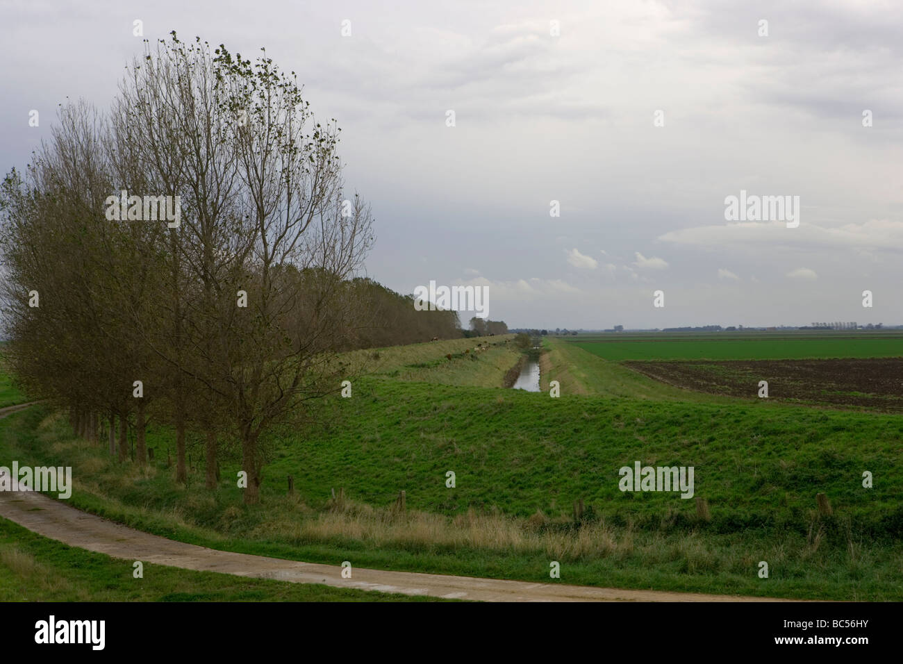 Guys Head Terrington Marsh The Wash Lincolnshire England Stock Photo ...