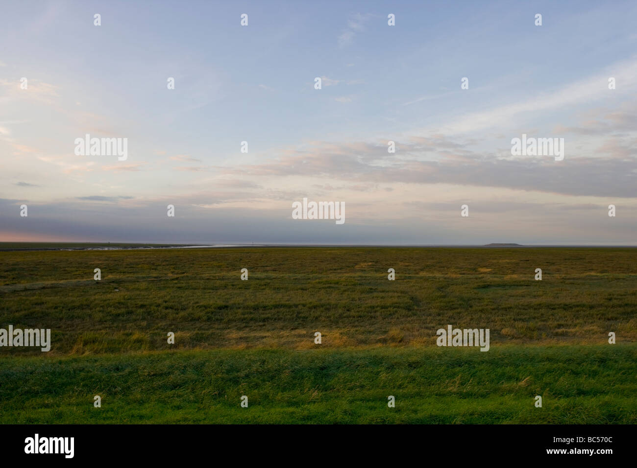 Guys Head Terrington Marsh The Wash Lincolnshire England Stock Photo ...
