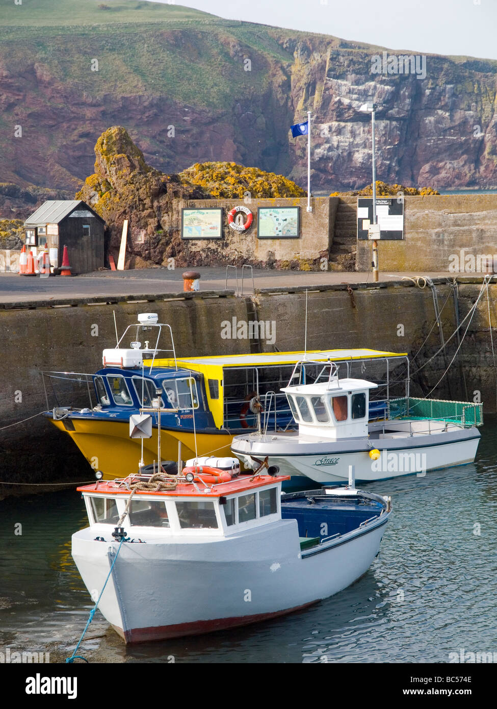 Boats in the harbour of St Abbs, a pretty fishing village on the coast ...