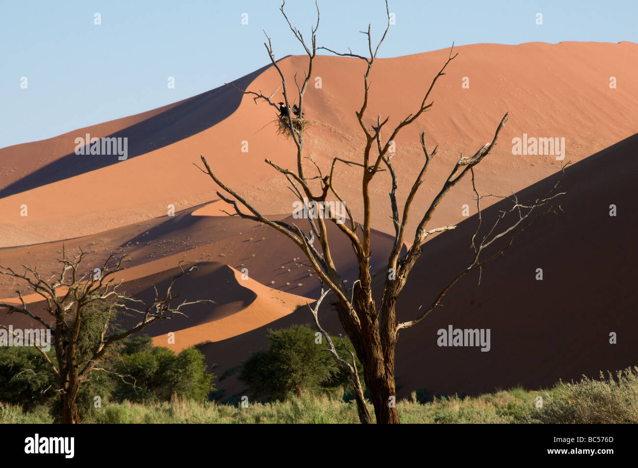 the beautiful sand dune landscape of Sossusvlei National Park in Nambia ...